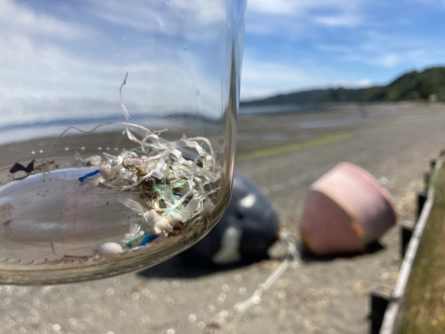Laboratorio de Toxinas Marinas. Universidad de Chile